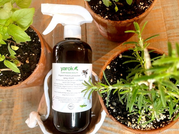 Insect Protection Spray - Yarok Plant-Based Beauty